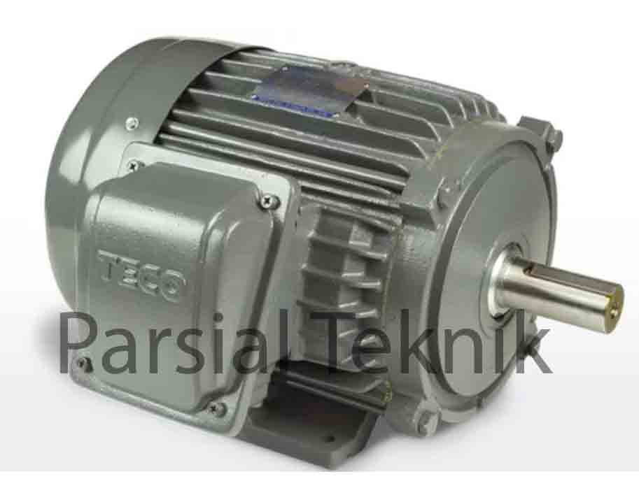Jual Motor Induksi 3 Phase Merk TECO - Parsial Dua Teknik